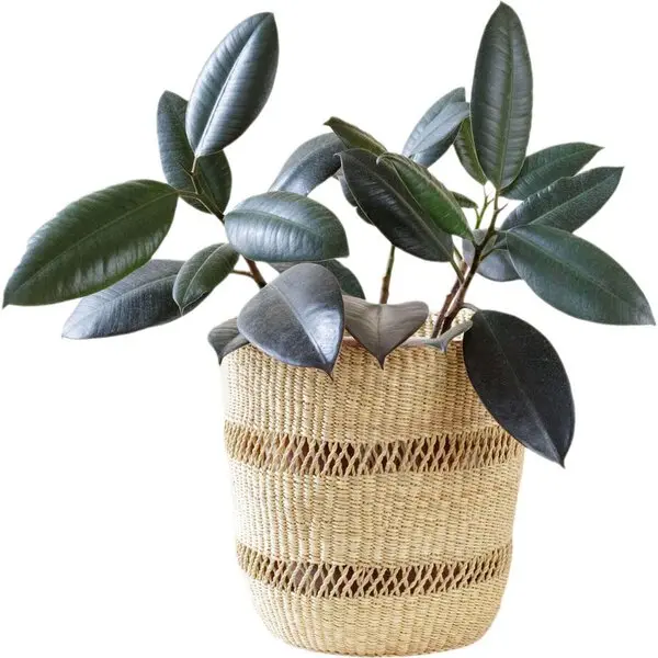 INDEGO AFRICA Bolga Planter - Natural