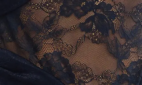 Significant Other Nida Sleeveless Stretch Lace Gown