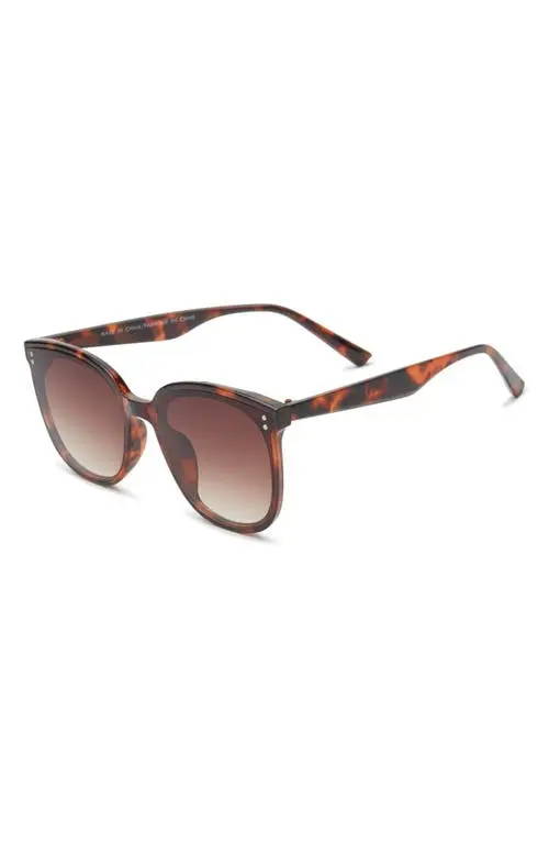 Bp. Full-coverage Square Sunglasses - Tortoise