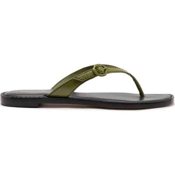 Larroude Mary Kate Flat Sandal - Seaweed