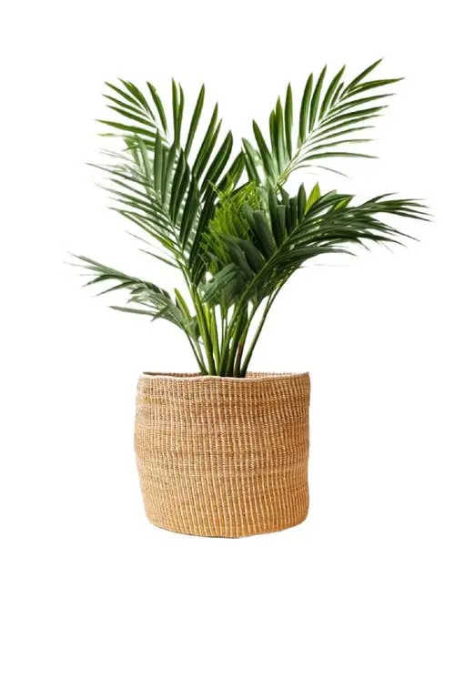 INDEGO AFRICA Banana Leaf Planter - Natural