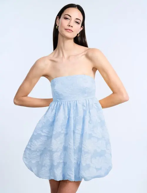 Bcbgmaxazria Organza Jacquard Bubble Mini Dress
