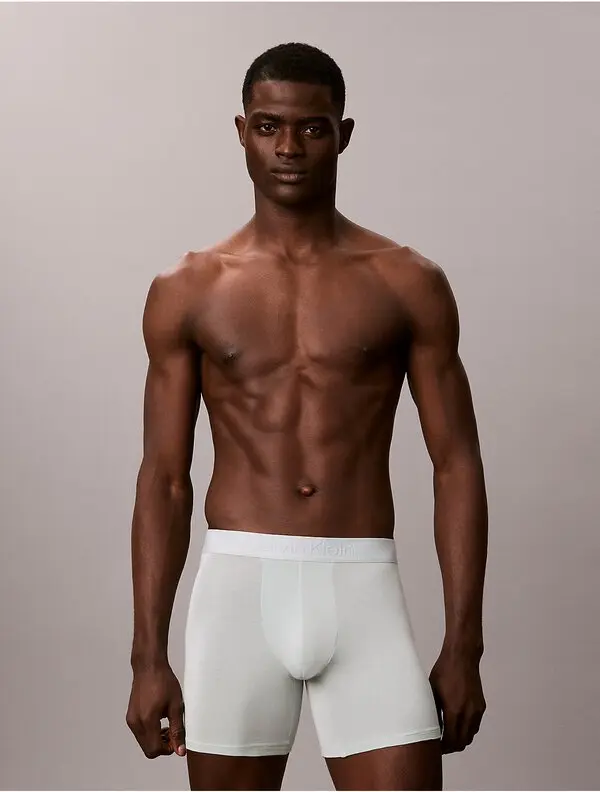 Calvin Klein Ultra Soft Modal Boxer Brief - Pale Meadow