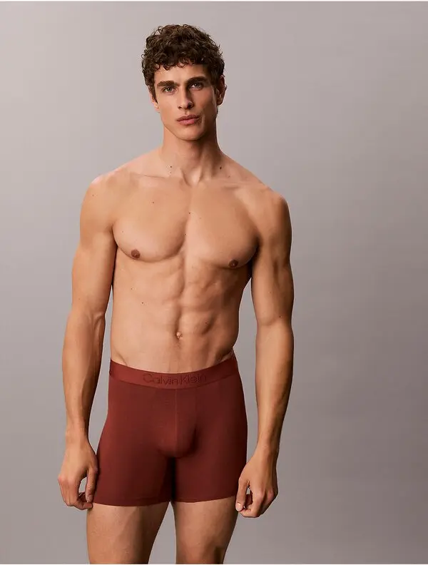 Calvin Klein Ultra Soft Modal Boxer Brief - Spiced Apple