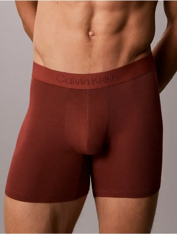 Calvin Klein Ultra Soft Modal Boxer Brief - Spiced Apple