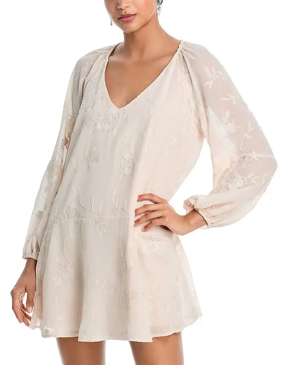 Aqua X Ava Phillippe Embroidered Chiffon Mini Dress