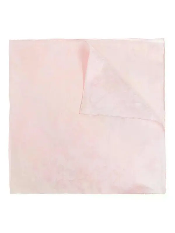 Alexander McQueen Silk Scarf - Pink