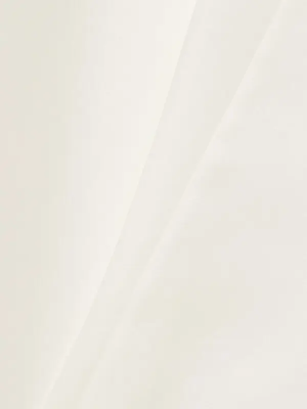 Khaite Lalisa Silk-organza Maxi Skirt - Neutrals