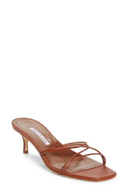 Manolo Blahnik Ninefemu Strappy Kitten Heel Slide Sandal - Medium Brown