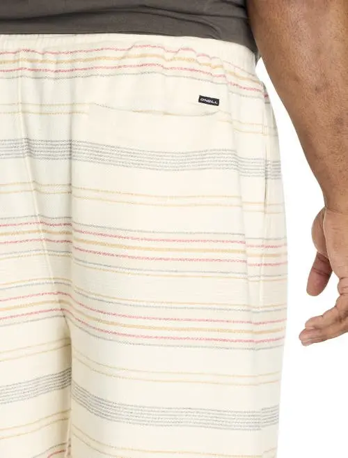 O'Neill Big & Tall Bavaro Striped Shorts