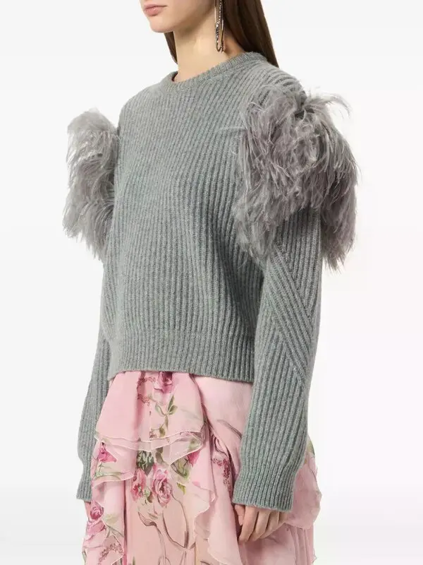Blumarine Feather-embellished Ribbed Knit Sweater - Grey