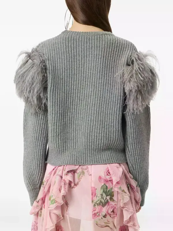 Blumarine Feather-embellished Ribbed Knit Sweater - Grey