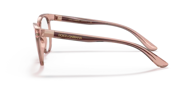 Dolce & Gabbana Cat Eye Eyeglasses - Transparent Pink
