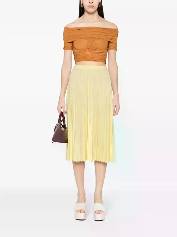Fabiana Filippi A-line Pleated Skirt