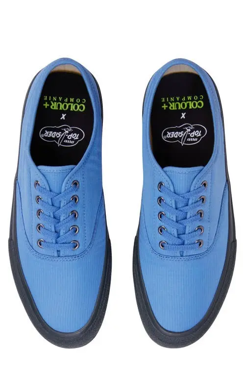 Sperry Cvo Sneaker - Blue