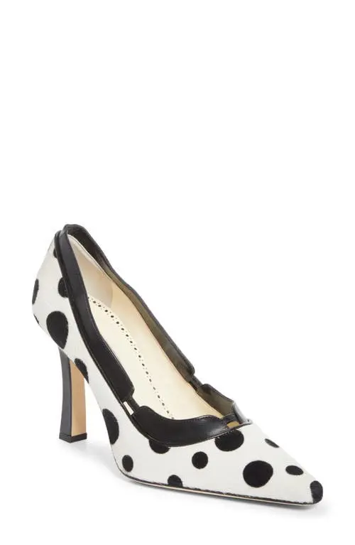 Manolo Blahnik Xerxa Pointed Toe Pump