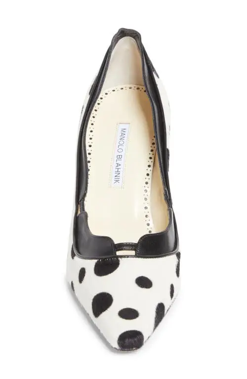 Manolo Blahnik Xerxa Pointed Toe Pump