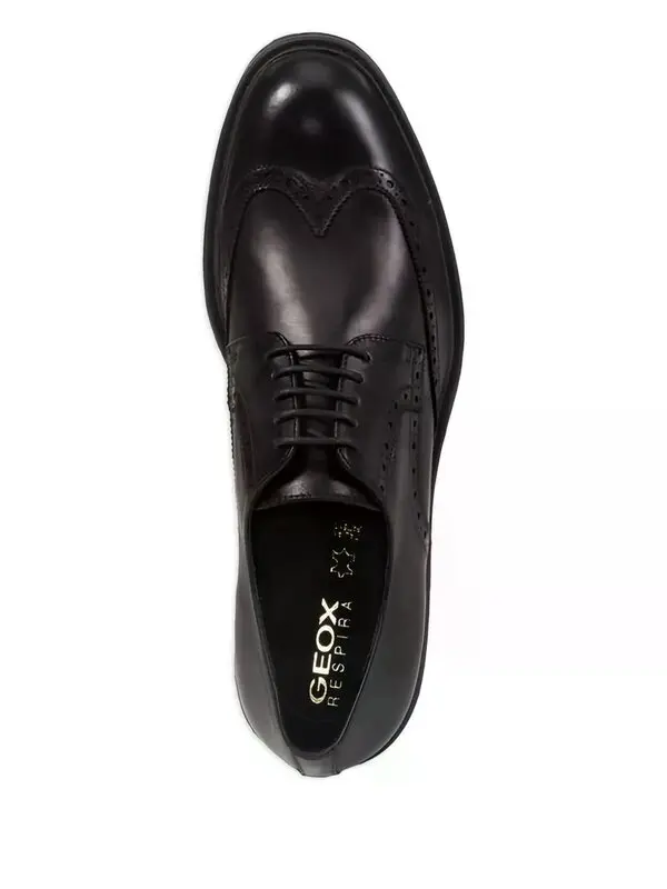 Geox Walk Pleasure Brogue Shoes