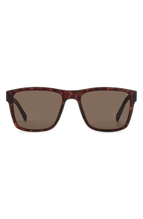 Fossil 56mm Square Sunglasses - Matte Havana/ Brown