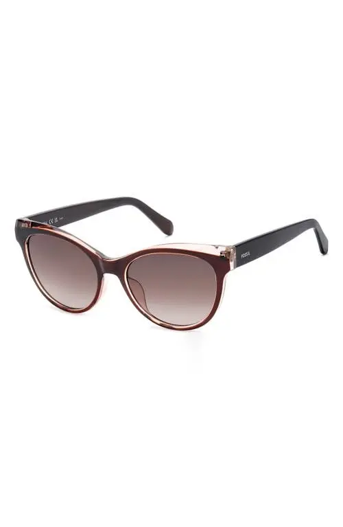 Fossil 53mm Cat Eye Sunglasses - Brown