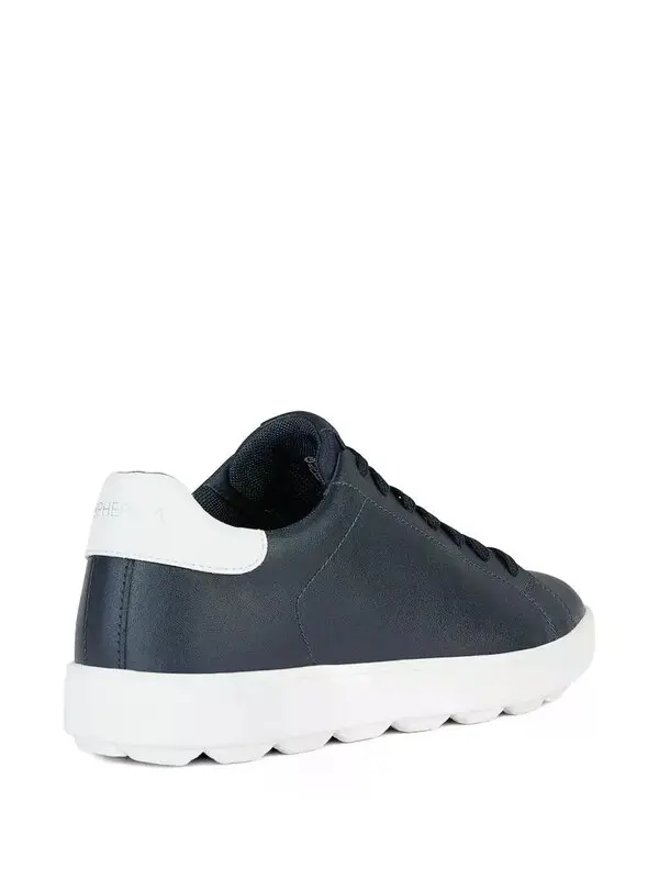 Geox Spherica™ Ecub-1 Leather Sneakers - C4002