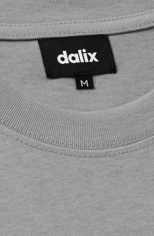 DALIX Alien Heavyweight Relaxed Tee - Stone