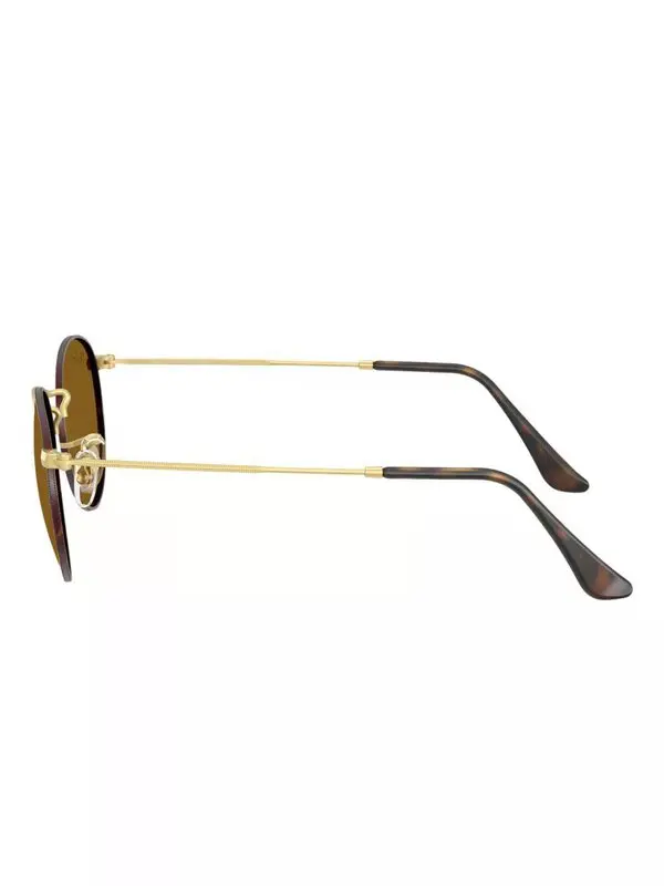 Ray-ban Round-frame Sunglasses - Brown