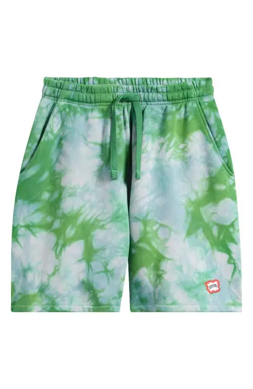 ICECREAM Villain Tie-dye Fleece Shorts - Castle Rock