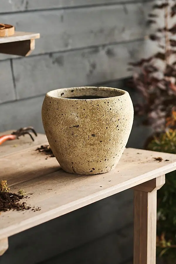 TERRAIN Barnacle Juliet Planter - Cream