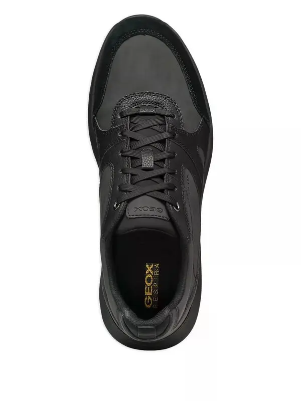 Geox Molveno Sneakers - Black