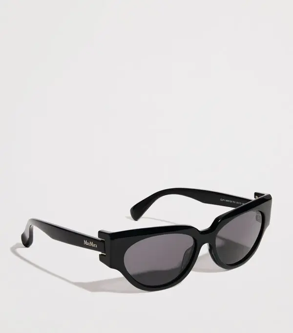 Max Mara Acetate Oval Clip1 Sunglasses