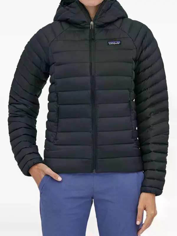 Patagonia Hooded Puffer Jacket