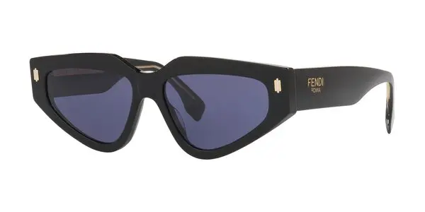 Fendi Roma Sunglasses - Blue