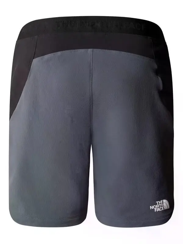 The North Face Circadian Alpine Color-blocked Shorts