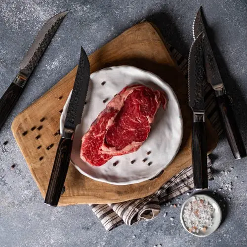 CUISINE::PRO Damashiro Emperor® 4-piece Steak Knife