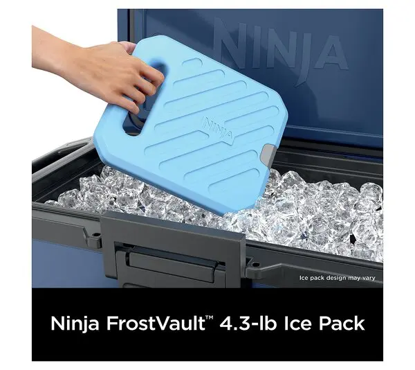 NINJA Frostvault 4.8lb Ice Pack