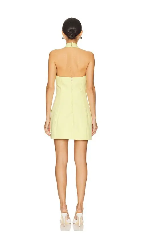 Bardot Nevelle Hourglass Halter Dress In . Also