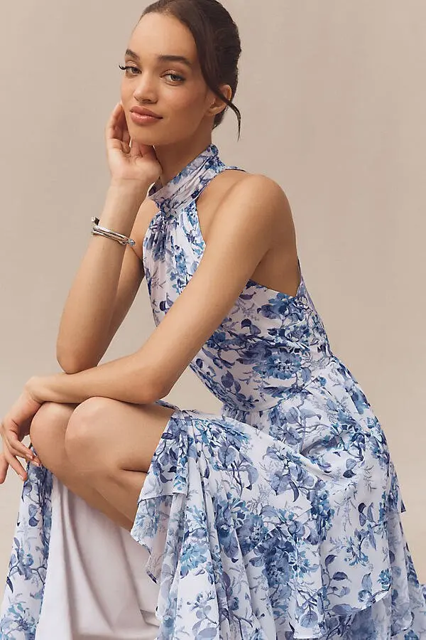 Bhldn Printed Chiffon Maxi Dress