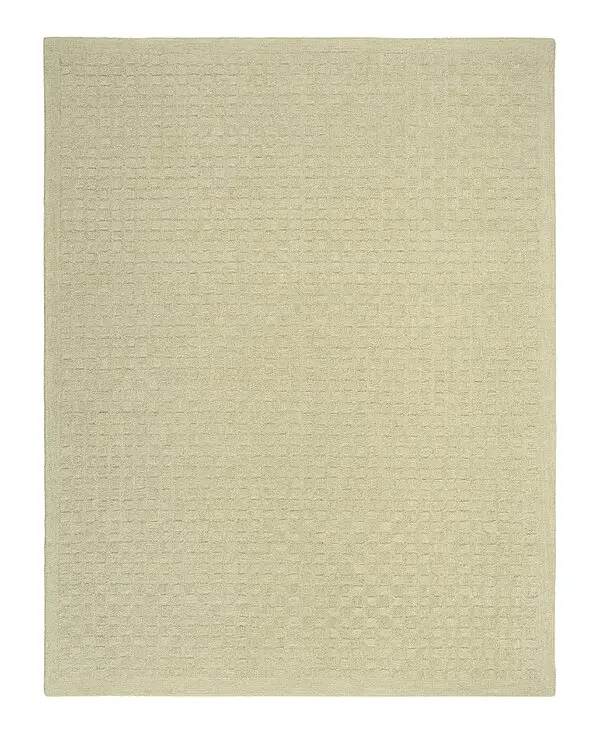 Dkny Pure Grids Pgr01 Area Rug, 7'7 X 9'7 - Light/green