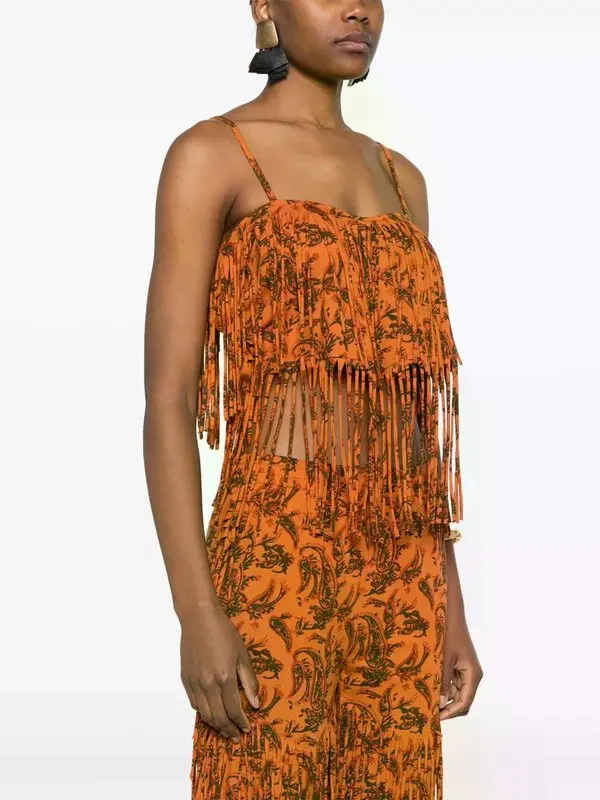 Alanui Monsoon Paisley-print Top