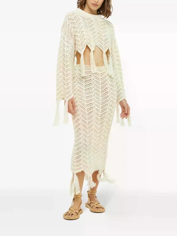 Alanui Chevron Knit Fringed Cropped Jumper