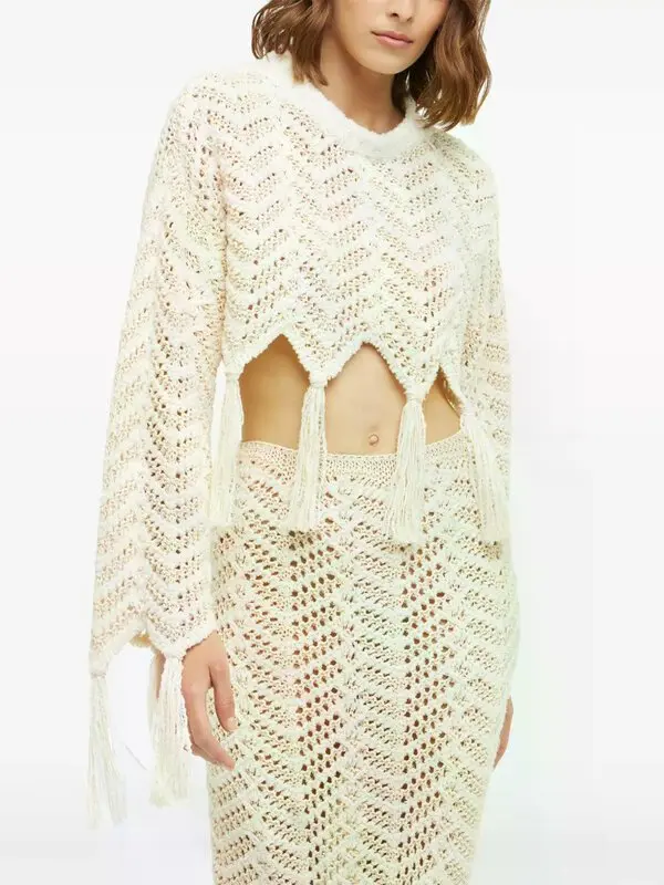 Alanui Chevron Knit Fringed Cropped Jumper