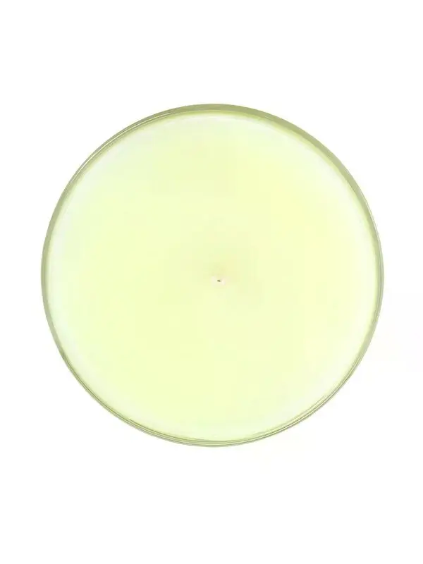 DIPTYQUE Mini Tubereuse Candle