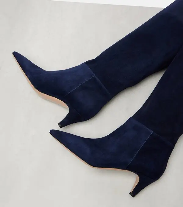 GIANVITO ROSSI Elise Suede Knee-high Boots - Blue