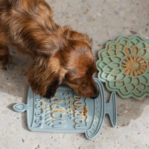 DEXYPAWS Enrichment Lick Mat