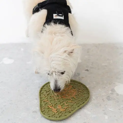 DEXYPAWS Enrichment Lick Mat