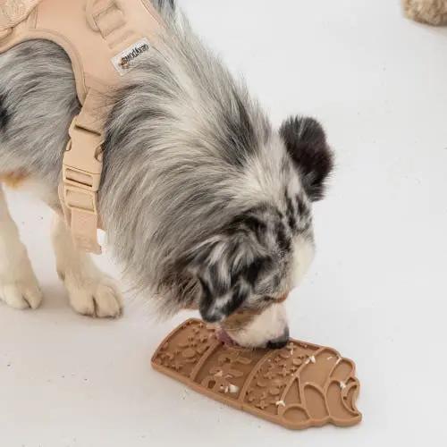DEXYPAWS Enrichment Lick Mat