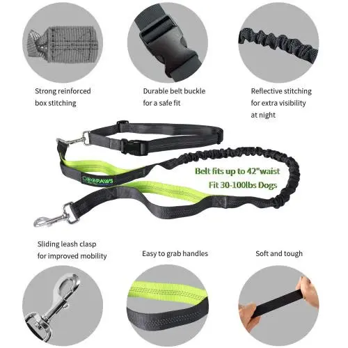 JESPET Hands Free Bungee Dog Leash Medlg Dogs