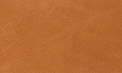 Hobo Sheila Leather Top Handle Tote - Natural