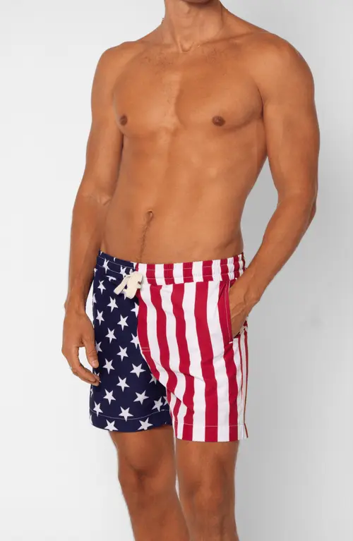 LEISURE LAB Stars And Stripes Swim Trunks
